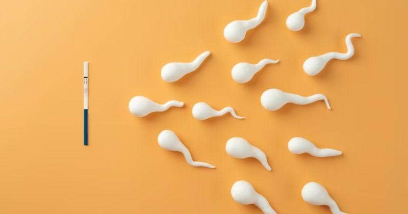 Dalam Seminggu, Berapa Kali Mani Harus Keluar? | Popmama.com