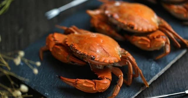 7 Jenis Seafood yang Aman Dikonsumsi Ibu Hamil | Popmama.com