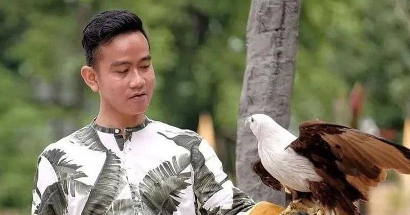 Biodata dan Profil Gibran Rakabuming, Resmi Jadi Cawapres Prabowo ...