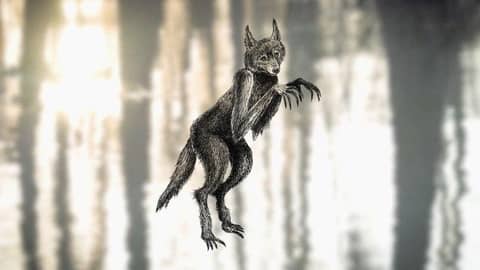 Mitos atau Fakta: Skinwalker, Makhluk Misterius Berwujud Binatang ...