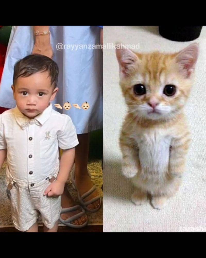 8 Editan Foto Rayyanza yang Viral, Meme Cipung Jadi Capres | Popmama.com
