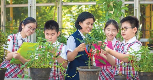 10 Biaya Sekolah SD di BSD Tahun Ajaran 2024 | Popmama.com