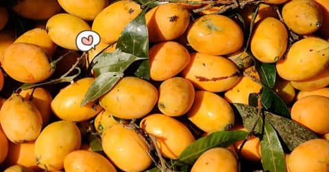 7 Nama-Nama Buah dari Huruf G yang Harus Anak Ketahui | Popmama.com