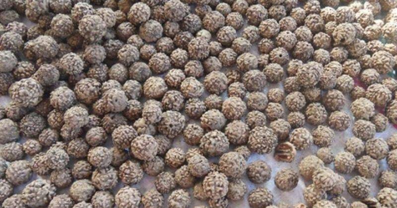 7 Nama Buah dari Huruf G yang Harus Anak Ketahui | Popmama.com