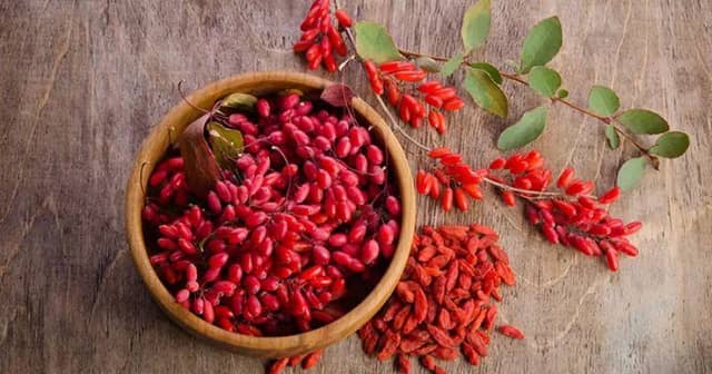 7 Nama-Nama Buah dari Huruf G yang Harus Anak Ketahui | Popmama.com