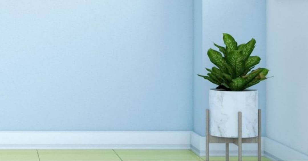 15 Warna Cat Rumah yang Bikin Terang Ruangan | Popmama.com