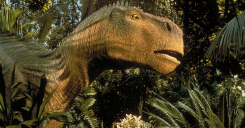 40 Rekomendasi Film Animasi Disney Sepanjang Masa! | Popmama.com