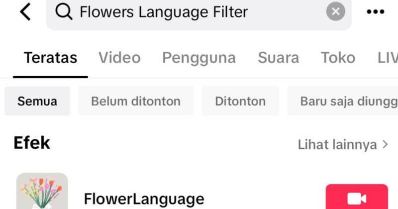 Cara Bikin Foto Bunga Berdasarkan Nama, Lagi Viral di TikTok | Popmama.com