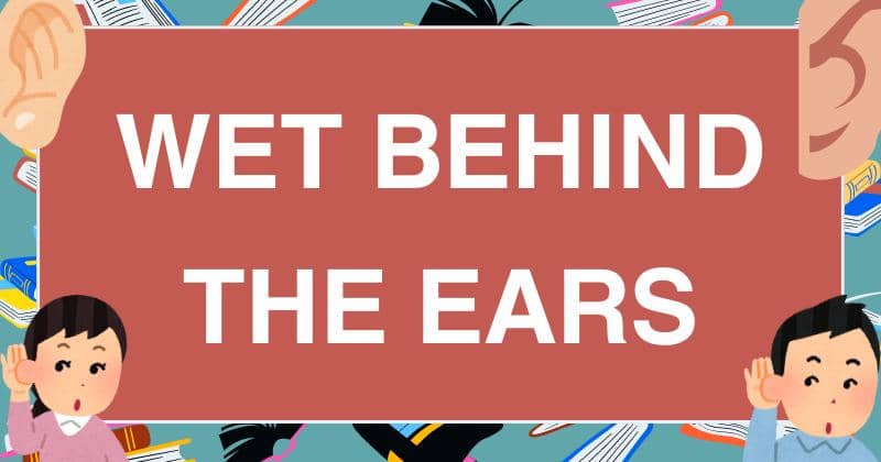 15 Idiom Bahasa Inggris "Ear" | Popmama.com