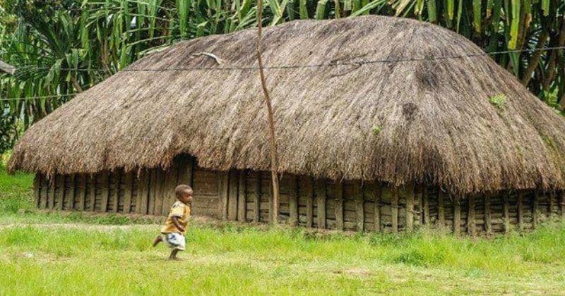 7 Macam Rumah Adat Papua, Keunikan dan Fungsiny | Popmama.com