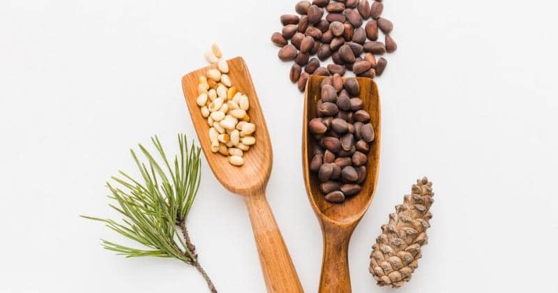 8 Kacang Berprotein Tinggi yang Bantu Capai Target Nutrisi | Popmama.com
