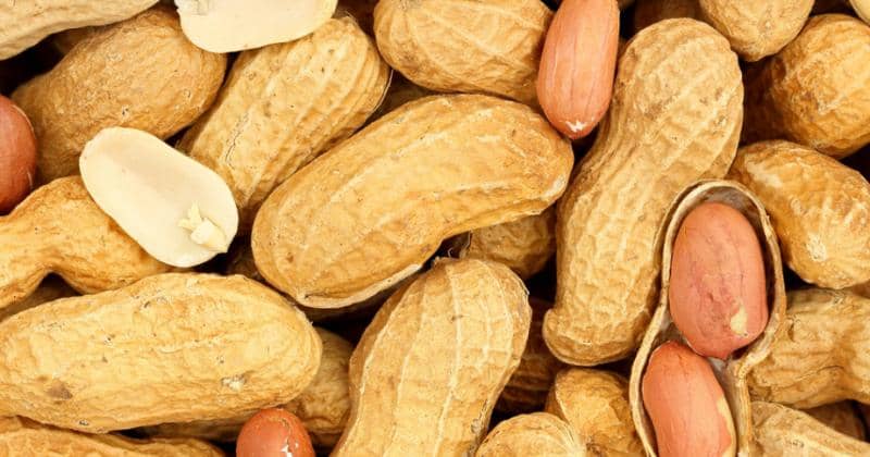 8 Kacang Berprotein Tinggi yang Bantu Capai Target Nutrisi | Popmama.com