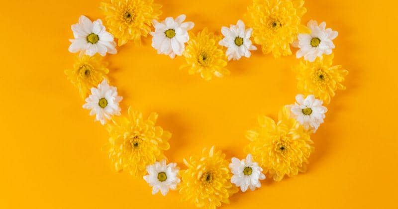 Arti Emoji Love Kuning, Lambang Persahabatan yang Tulus | Popmama.com