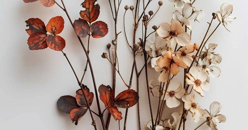Bolehkah Menyimpan Bunga Kering di Kamar Menurut Feng Shui? | Popmama.com