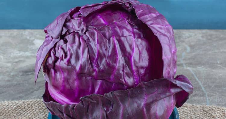 10 Manfaat Kol Ungu untuk Ibu Hamil | Popmama.com