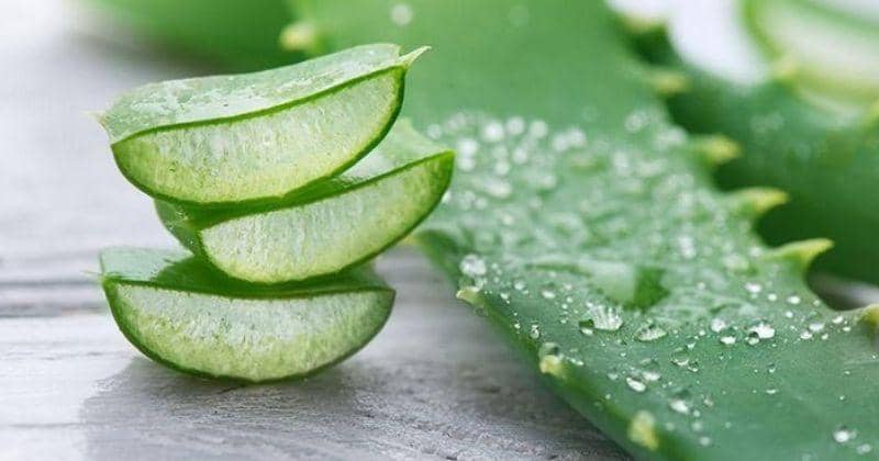 5 Cara Mengobati Gigitan Tungau Kasur | Popmama.com