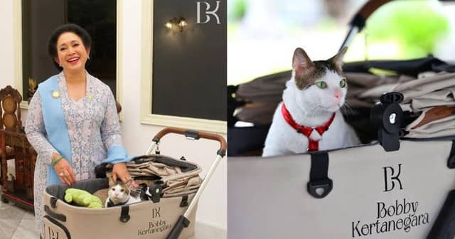 8 Fakta Bobby Kertanegara, Kucing Prabowo yang Viral | Popmama.com