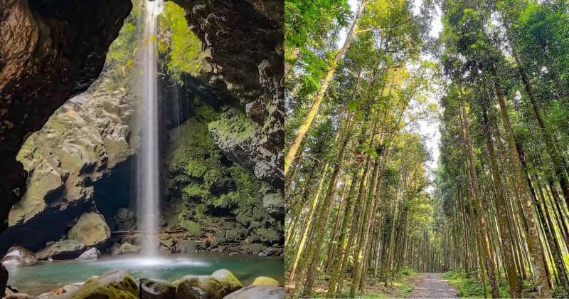 11 Tempat Wisata Sentul Ramah Anak Buat yang Mau Liburan! | Popmama.com