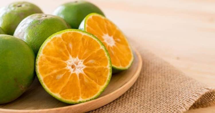 11 Jenis Jeruk Imlek yang Dipercaya Membawa Keberuntungan | Popmama.com