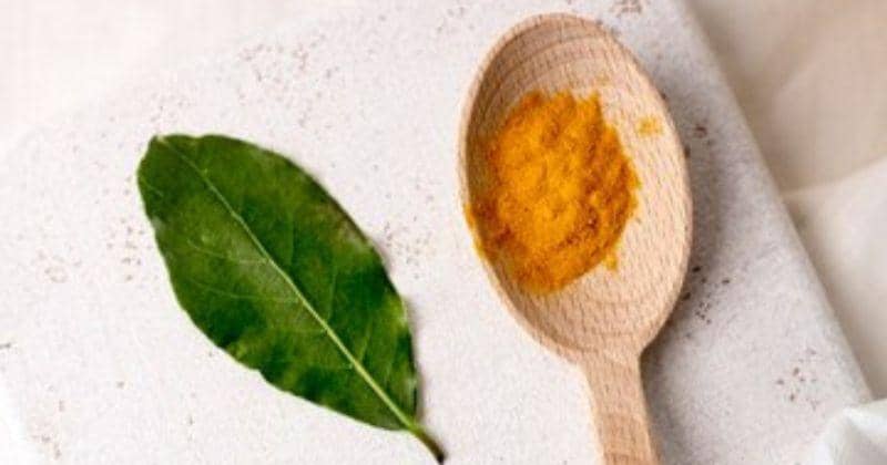 9 Cara Mengatasi Gatal karena Ulat Bulu | Popmama.com