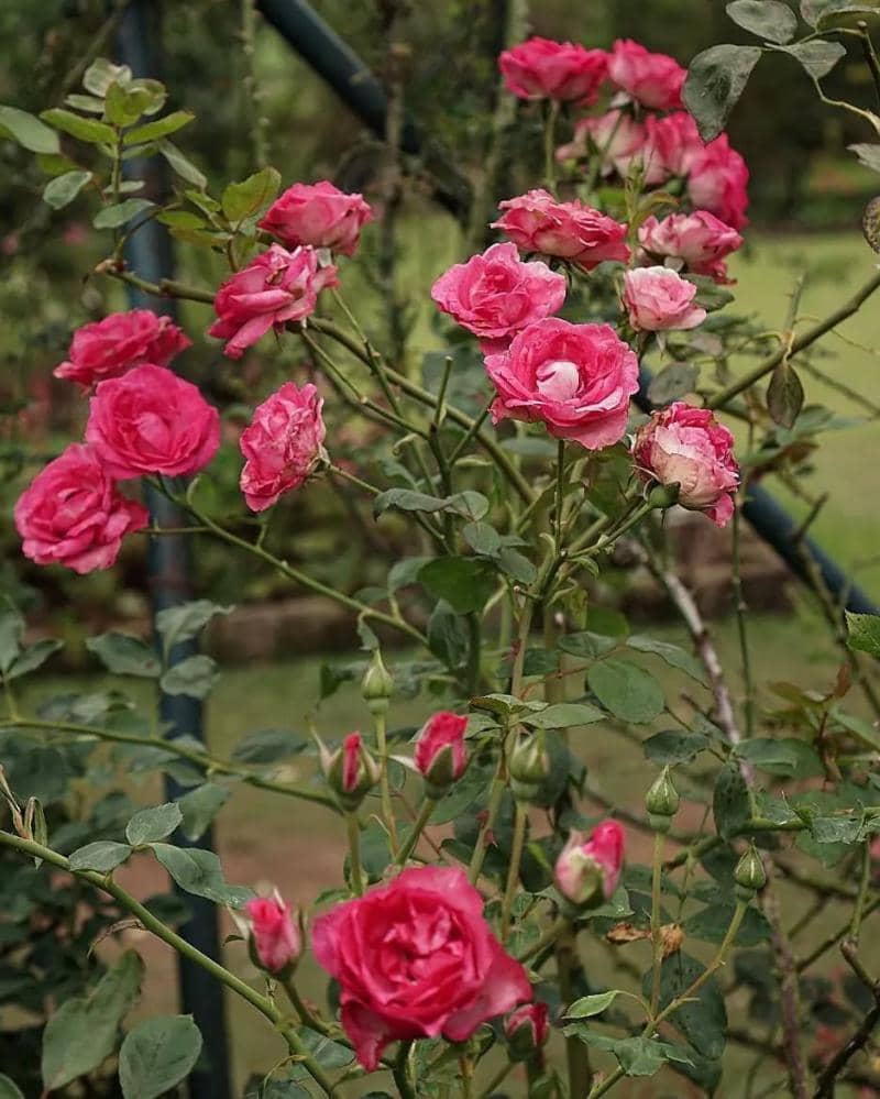 7 Rekomendasi Tempat Wisata Terbaru 2025 di Garut | Popmama.com