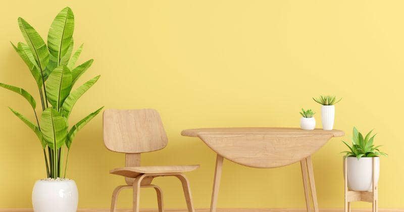 5 Ide Warna Cat Kuning Telur di Rumah, Inspirasi Ceria | Popmama.com
