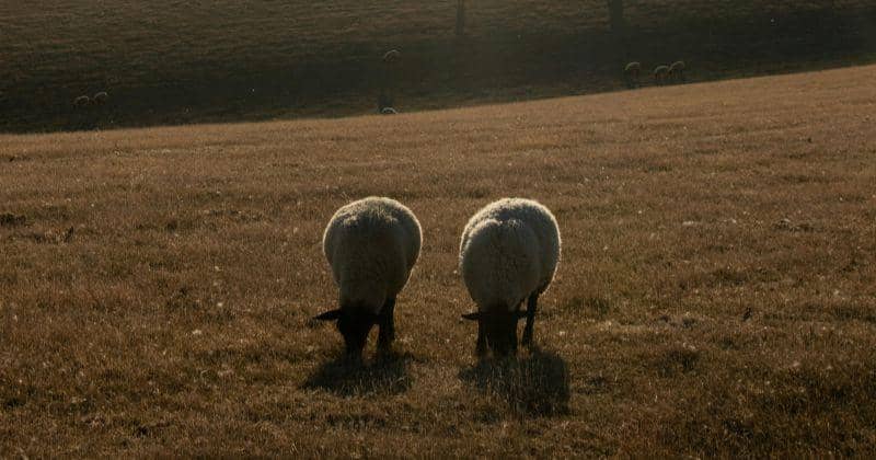 Kisah Anak Nabi Adam yang Tercatat dalam Sejarah | Popmama.com