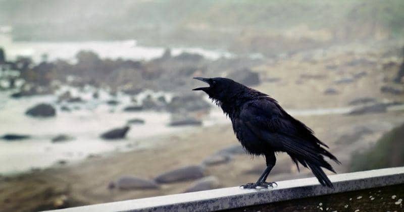 Kisah Anak Nabi Adam yang Tercatat dalam Sejarah | Popmama.com