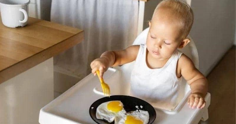 Bolehkah Anak Makan Telur Setiap Hari? Ini Kata Dokter | Popmama.com