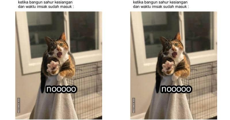 10 Meme Sahur Lucu, Auto Ketawa! | Popmama.com