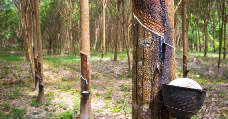 7 Jenis Noda Pakaian dan Cara Menghilangkannya | Popmama.com