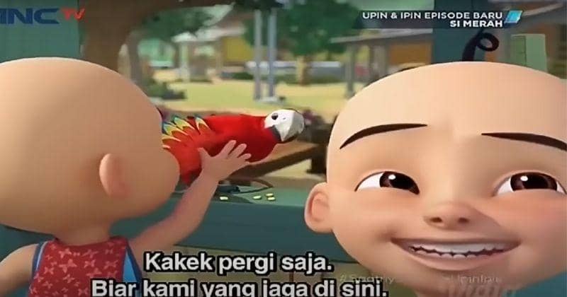 5 Nama Hewan Peliharaan Upin Ipin, Ada Kucing Apin | Popmama.com