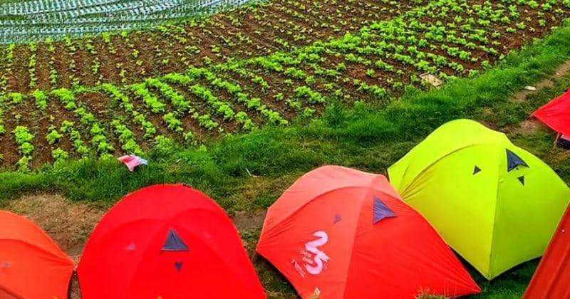 8 Tempat Glamping di Magelang untuk Liburan Penuh Warna! | Popmama.com