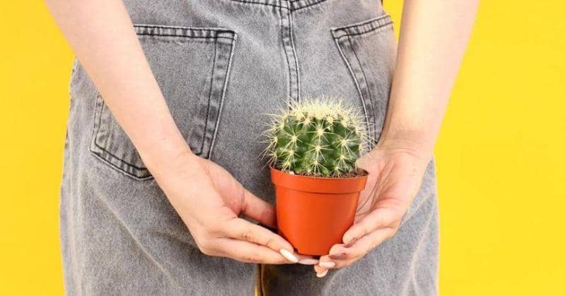15 Penyebab Dubur Gatal dan Cara Mengatasinya | Popmama.com