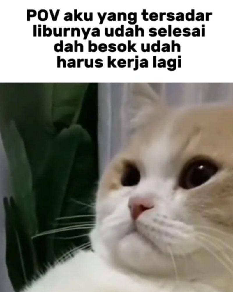 10 Meme Lucu Masuk Kerja setelah Libur Panjang | Popmama.com