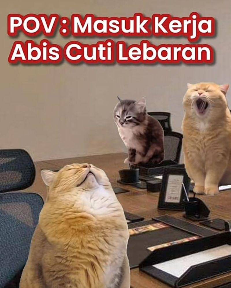 10 Meme Lucu Masuk Kerja setelah Libur Panjang | Popmama.com