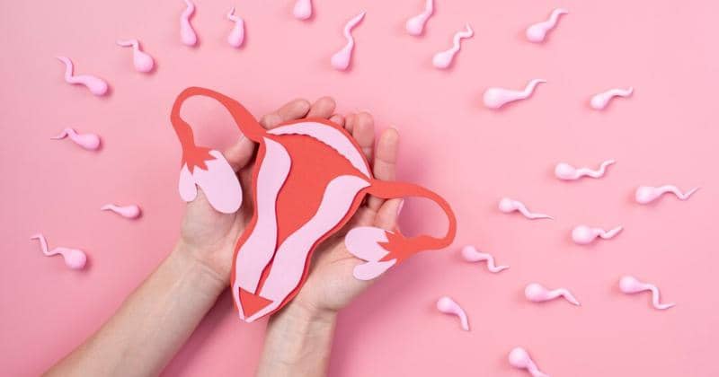 Manfaat USG Rahim sebelum Program Hamil Menurut Dokter | Popmama.com