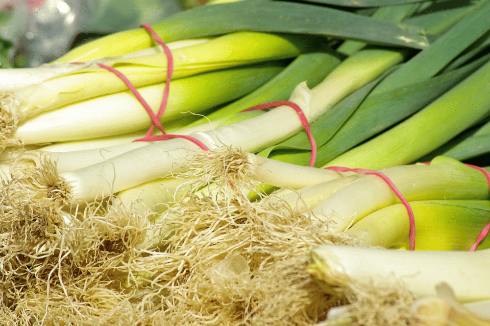 9 Sisa Tanaman Sayur yang Bisa Ditanam Ulang | Popmama.com