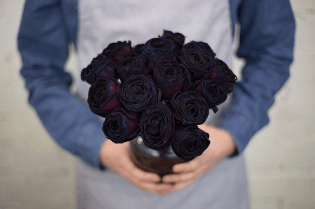 6 Bunga yang Melambangkan Kesedihan, Cara Mengekspresikan Duka ...