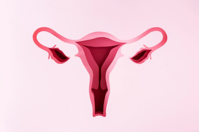 Bahaya Penggunaan KB IUD atau Pil KB yang Tidak Cocok | Popmama.com