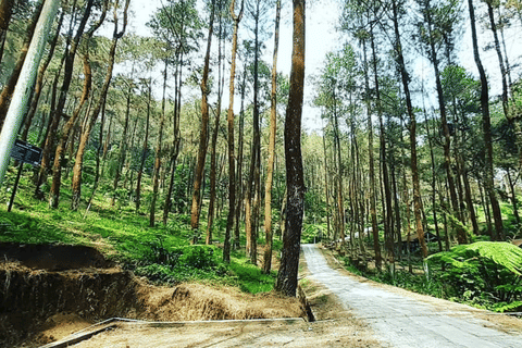 12 Tempat Wisata Alam di Solo Terdekat dan Mudah Dijangkau | Popmama.com