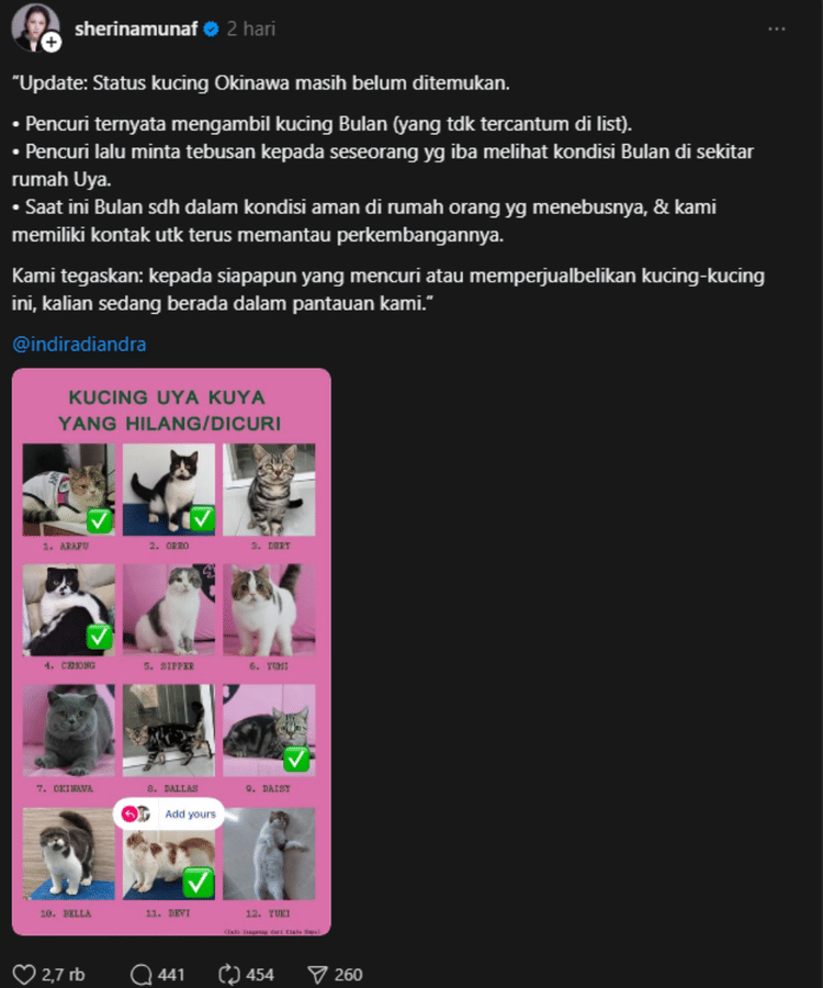 Uya Kuya Cari Kucingnya yang Hilang usai Rumah Dijarah | Popmama.com