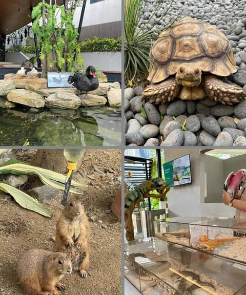8 Rekomendasi Mini Zoo di Jakarta dan Sekitarnya | Popmama.com