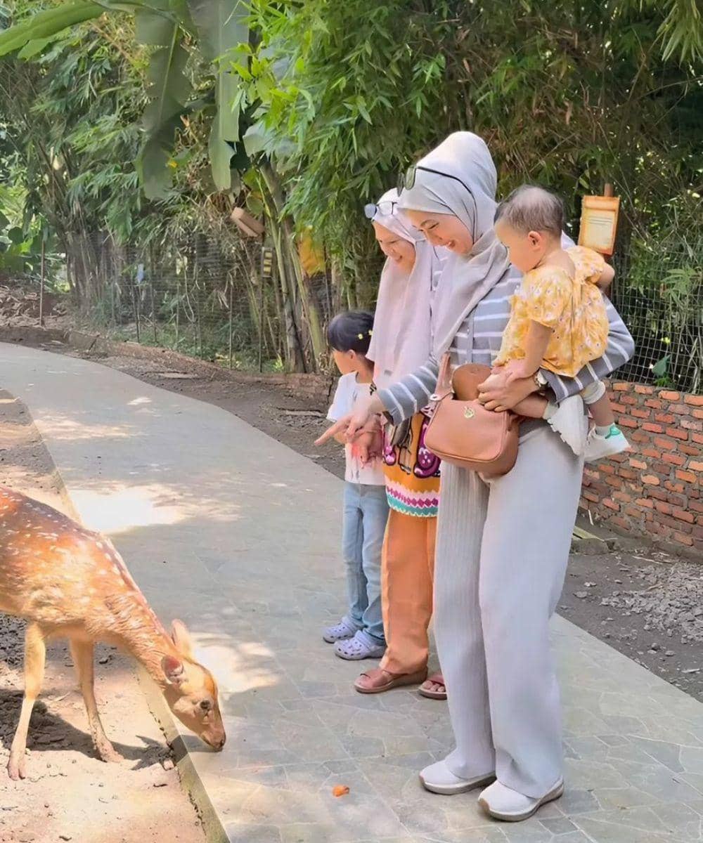 8 Rekomendasi Mini Zoo di Jakarta dan Sekitarnya | Popmama.com
