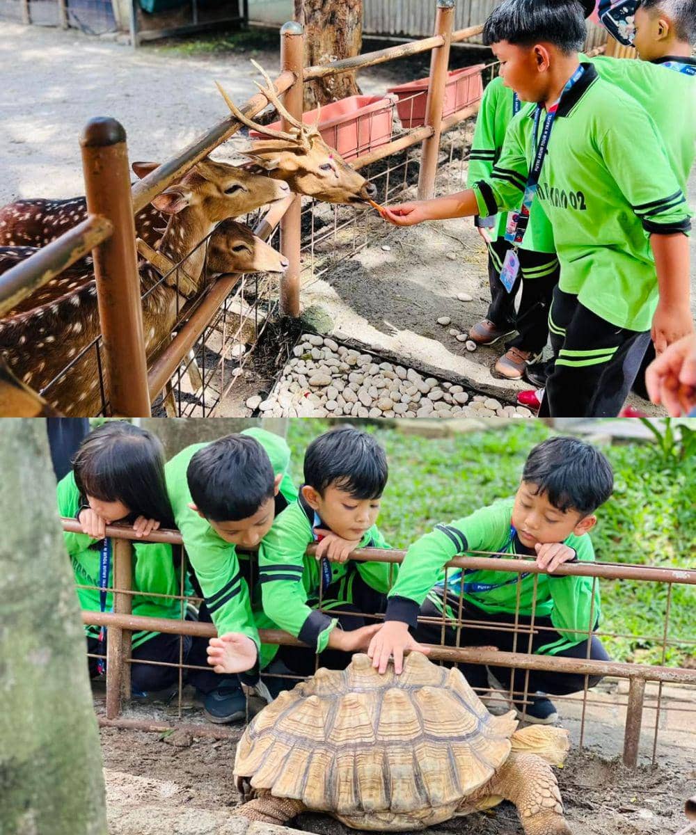 8 Rekomendasi Mini Zoo di Jakarta dan Sekitarnya | Popmama.com
