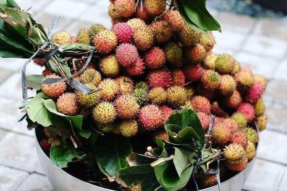 9 Jenis Rambutan dan Ciri-Cirinya yang Unik! | Popmama.com