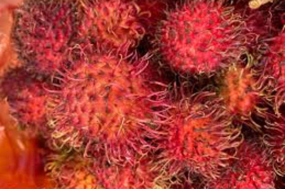 9 Jenis Rambutan dan Ciri-Cirinya yang Unik! | Popmama.com