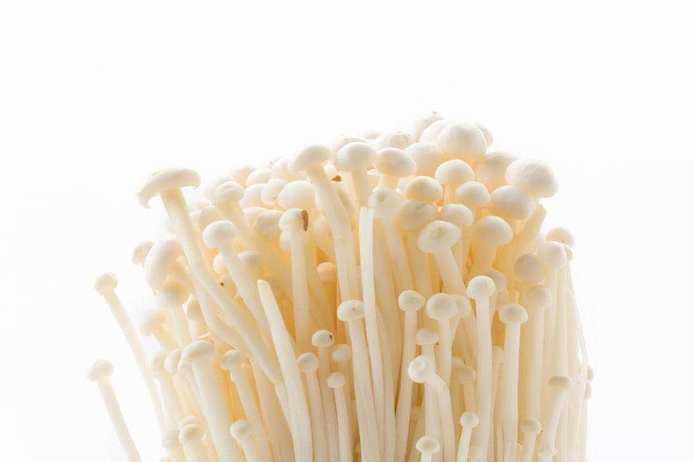 Jamur Enoki Tumbuh Dimana? | Popmama.com