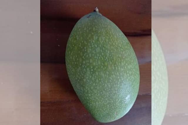 9 Jenis Mangga di Indonesia dan Ciri-cirinya | Popmama.com