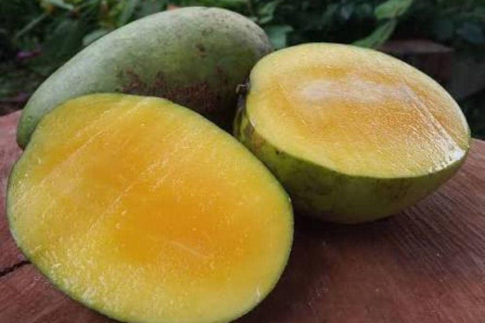 9 Jenis Mangga di Indonesia dan Ciri-cirinya | Popmama.com